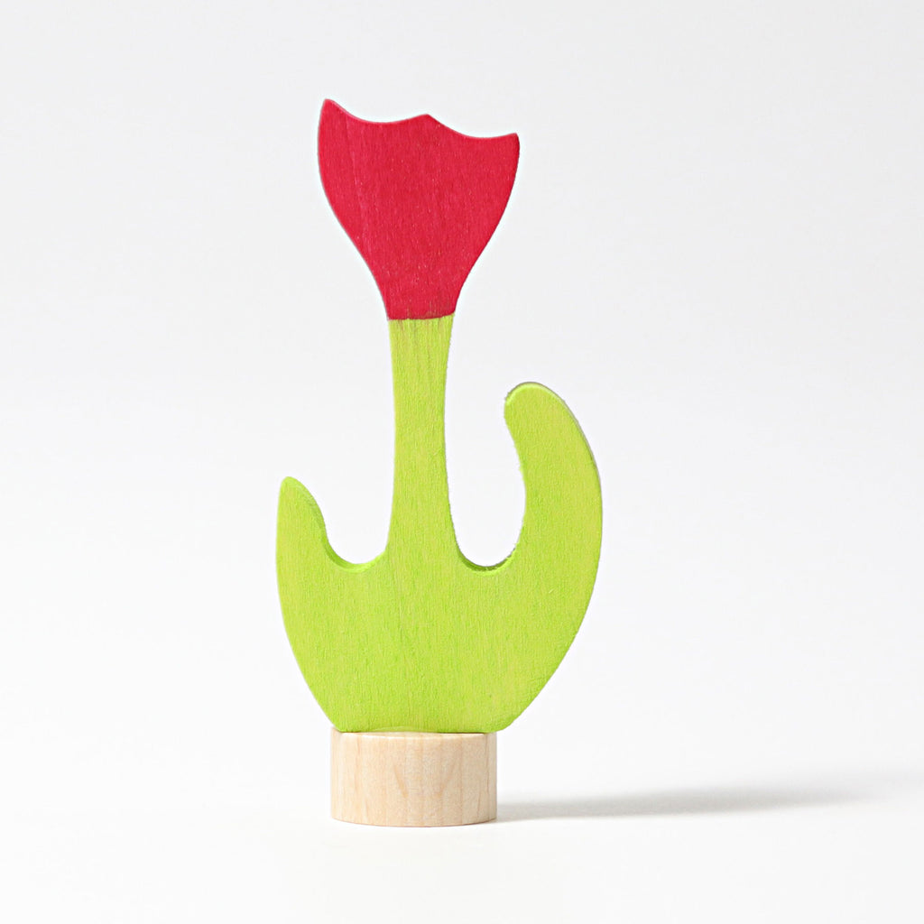 Plug tulip red